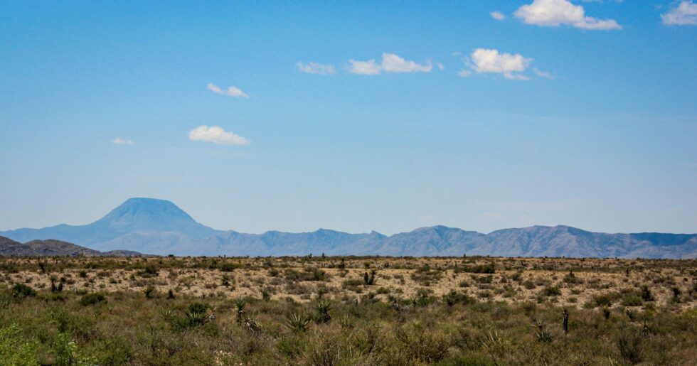 7 Accredited Masters in Counseling Programs in West Texas - Counseling ...